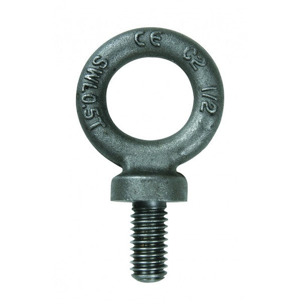 Dynamo Eye Bolt - Self Colour BS4278 – Westward Rope and Wire